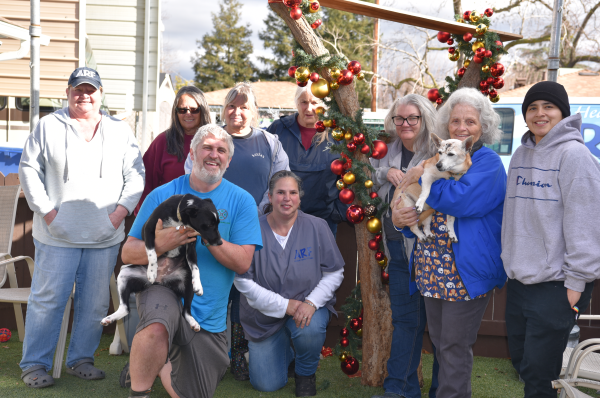 Animal Rescue of Fresno: A Holiday State of Mind | Kings River Life ...
