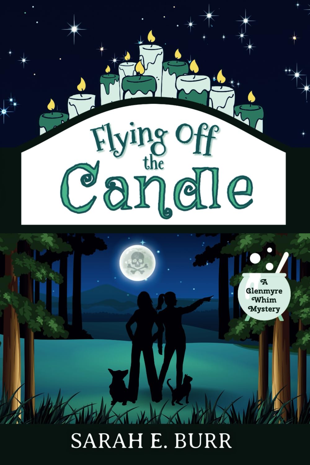 Flying Off the Candle By Sarah E. Burr: Review/Giveaway | Kings River ...